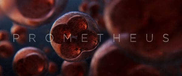 What is a Prequel? Filmmakers Guide to the Art of Backstory