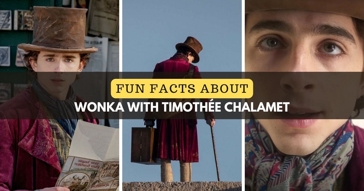 7 Fun Facts About The Movie Wonka with Timothée Chalamet